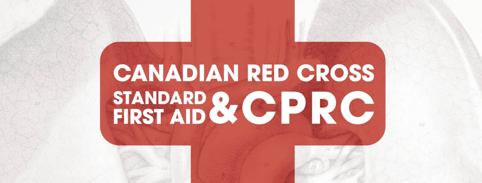 Algonquin Students' Association | Canadian Red Cross Standard First Aid ...